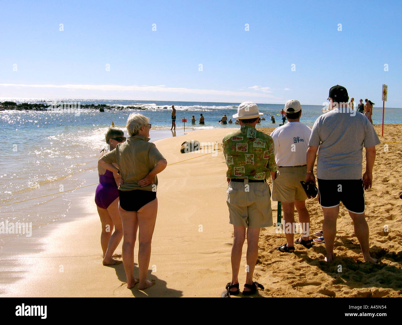 Hawaiian Beach With People