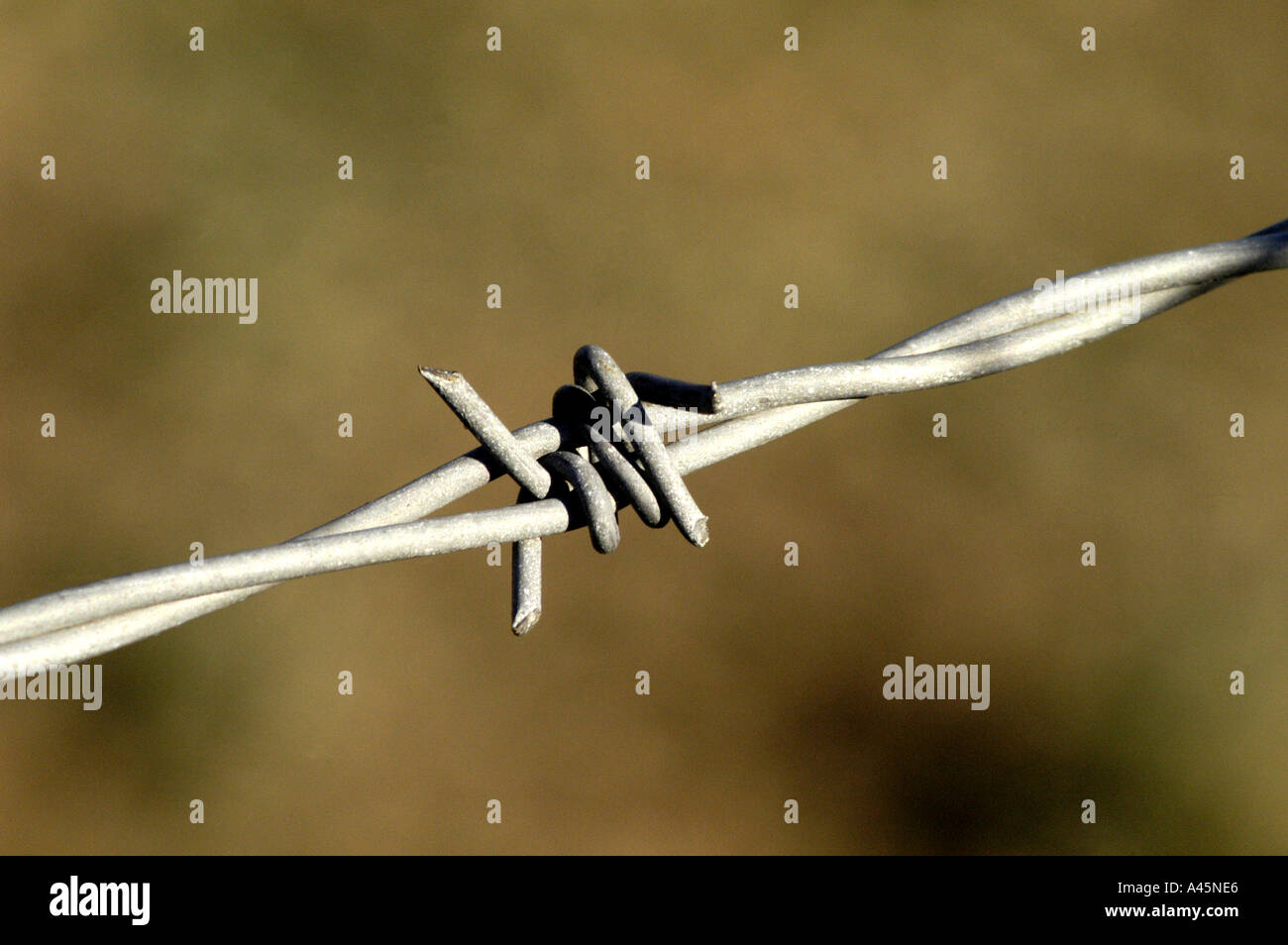 single strand of barbed wire Stock Photo - Alamy