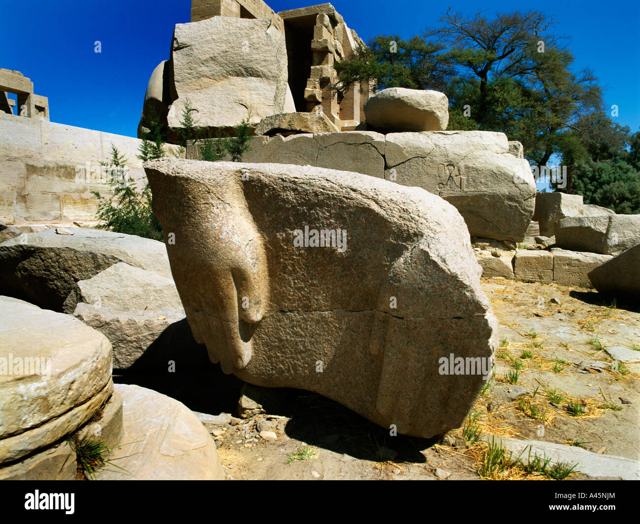Rameses Ii Statue Fallen High Resolution Stock Photography and Images ...