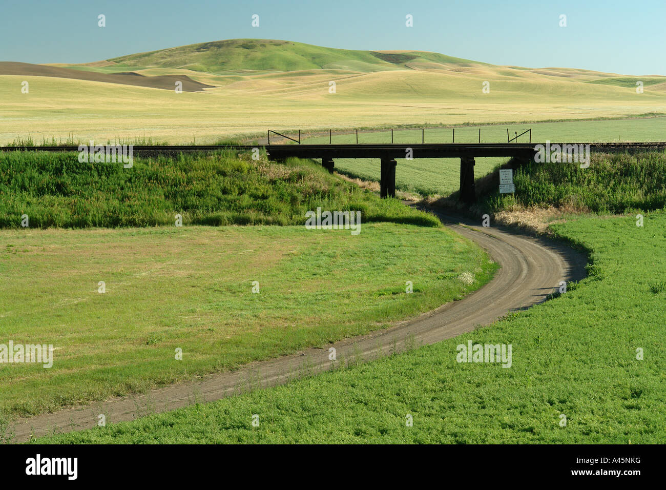 AJD56046, The Palouse Country, WA, Washington, Whitman County, rolling ...