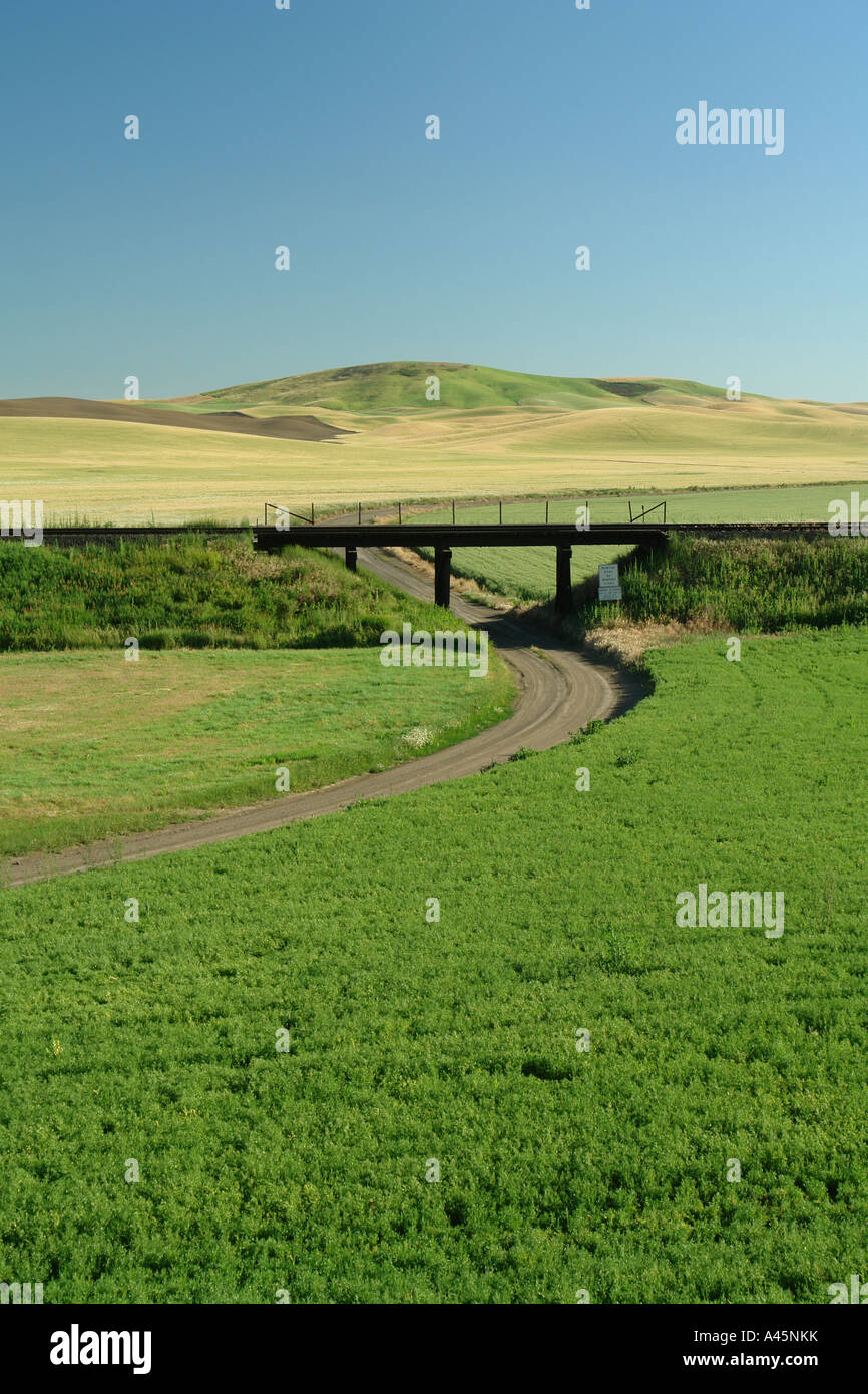 AJD56048, The Palouse Country, WA, Washington, Whitman County, rolling ...