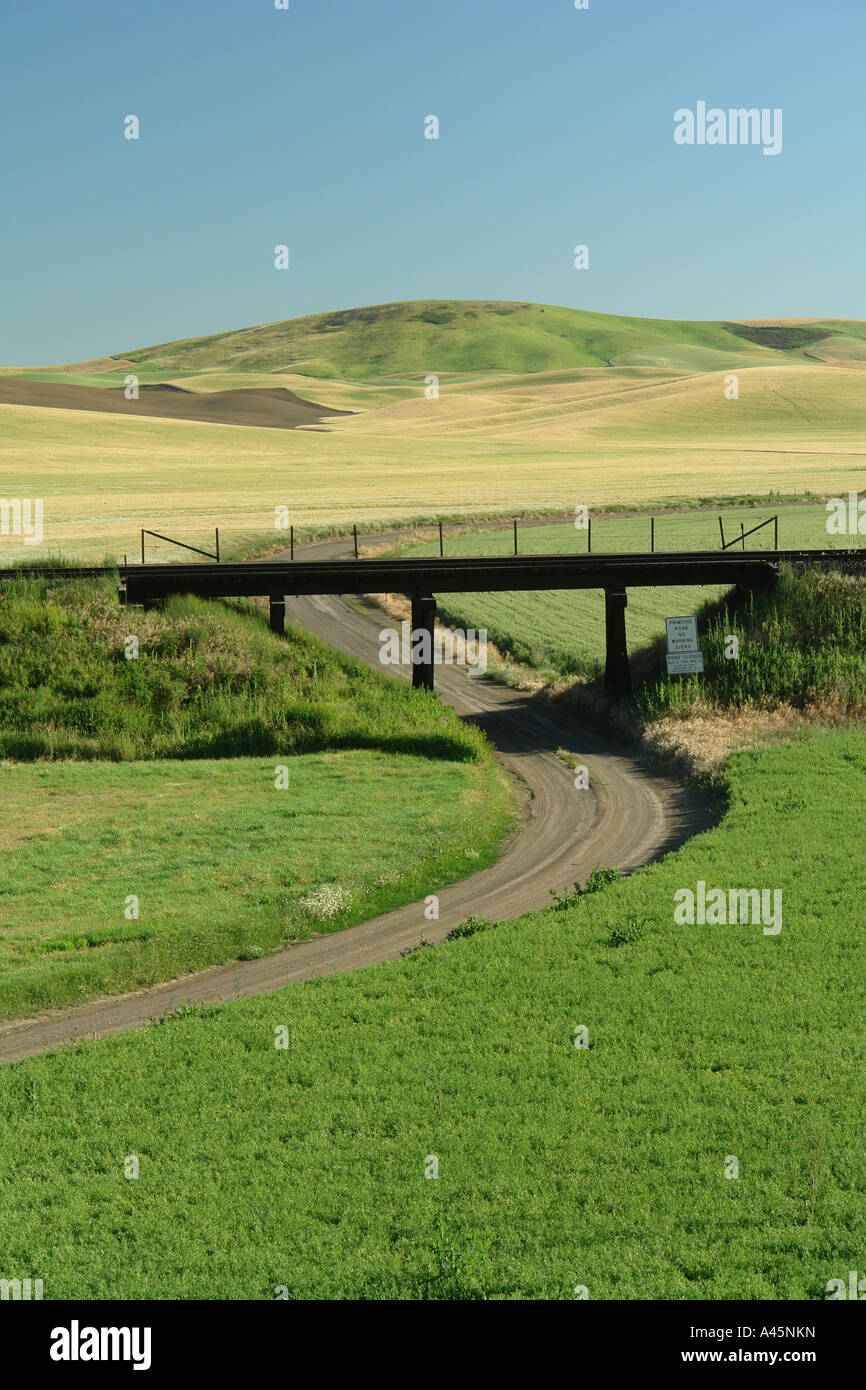 AJD56049, The Palouse Country, WA, Washington, Whitman County, rolling ...