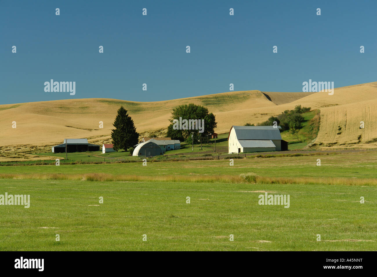 AJD56068, Colfax, The Palouse Country, WA, Washington, Whitman County ...
