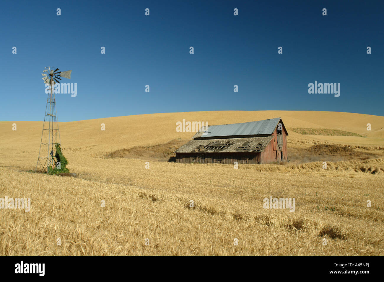 AJD56072, Colfax, The Palouse Country, WA, Washington, Whitman County ...