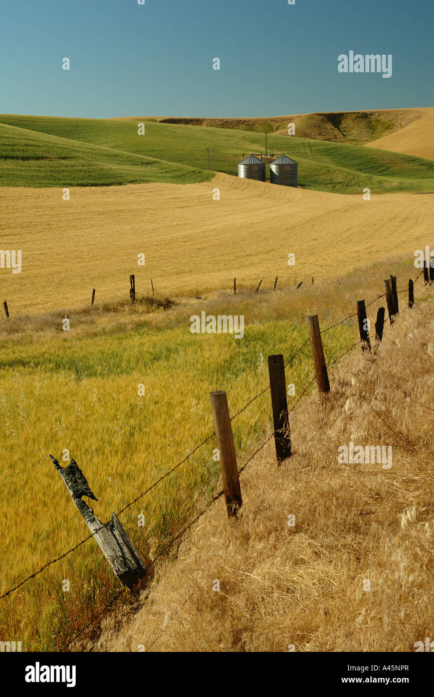 AJD56075, Colfax, The Palouse Country, WA, Washington, Whitman County ...