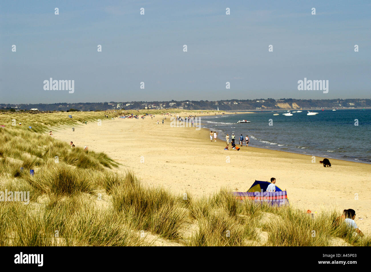 Studland Bay, Dorset Stock Photo - Alamy