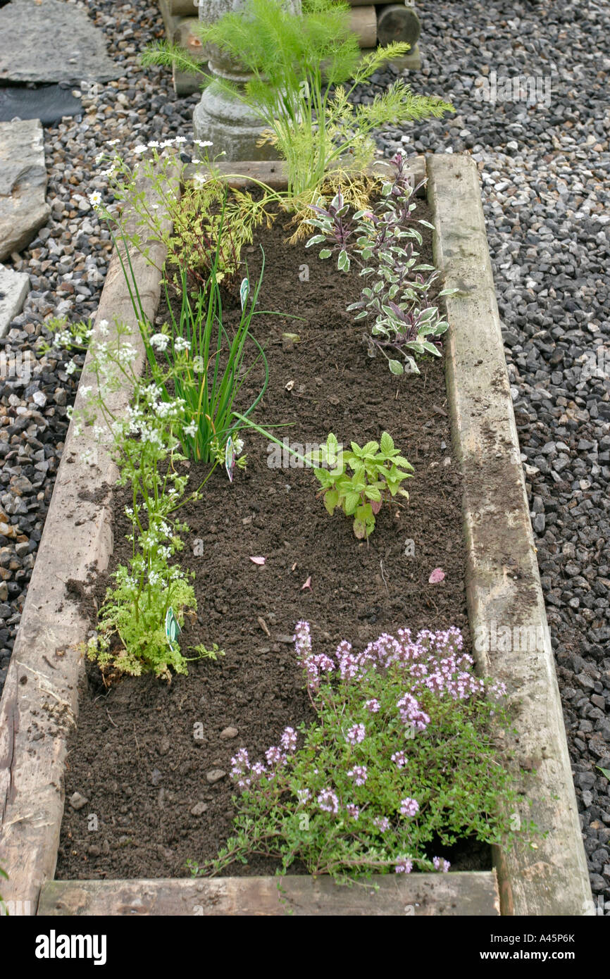 BUILDING A HERB PLANTER STEP 11 PLANTING THE HERBS Stock Photo - Alamy