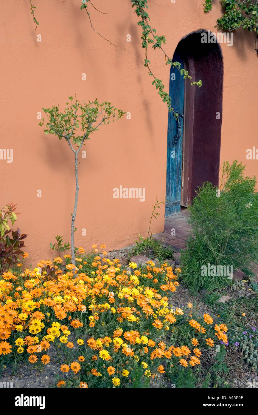 Plants flowers and trees adorn the entrance of a house in Mesilla New ...