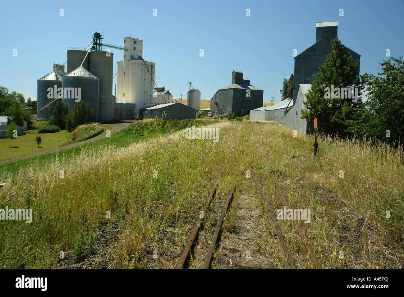 AJD56176, Cottonwood, ID, Idaho, Camas Prairie, "Railroad on Stilts ...