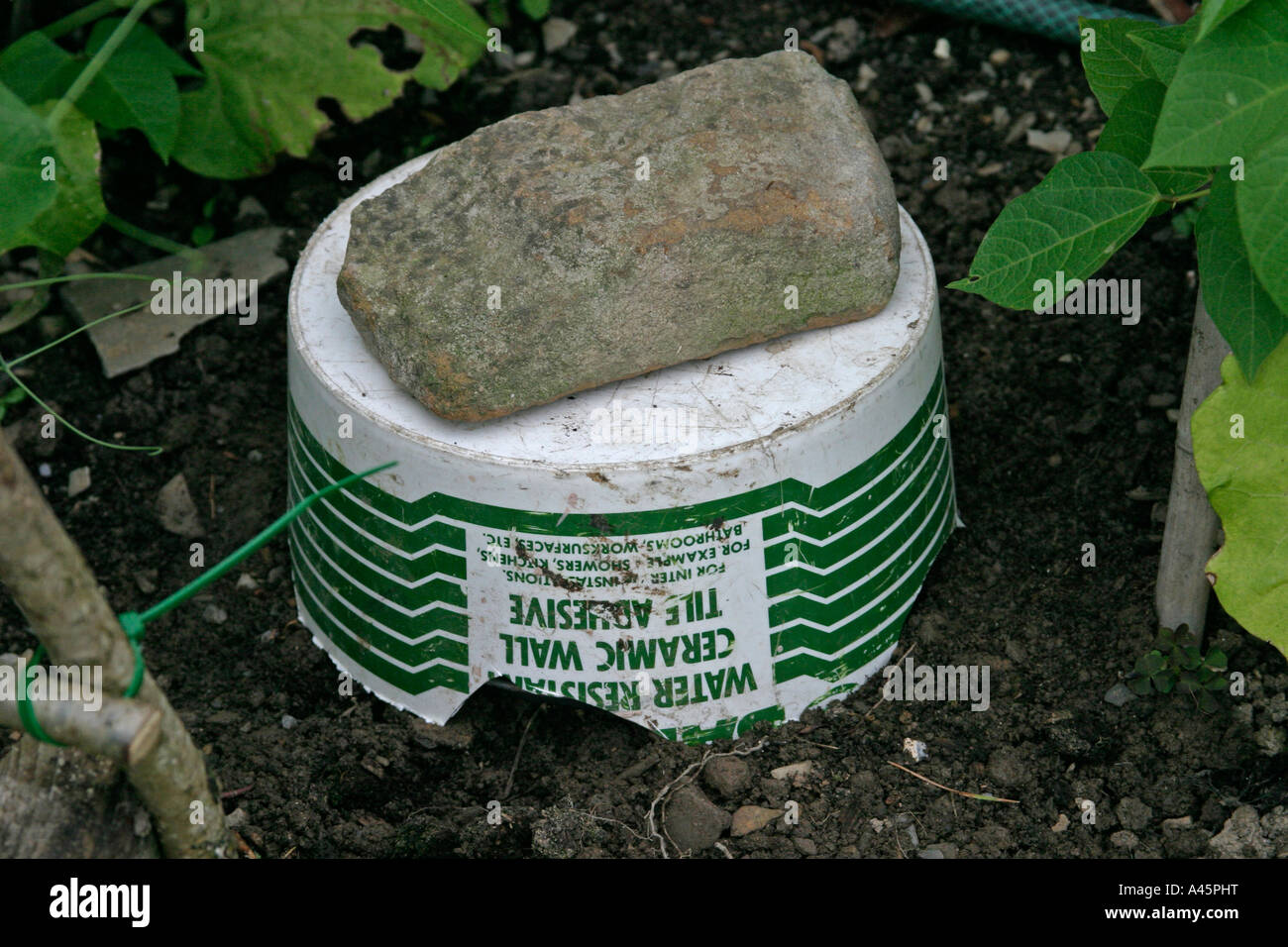 BUILDING A BEER SLUG TRAP STEP 5 PLACE COVER OVER TOP OF BEER CONTAINER ...