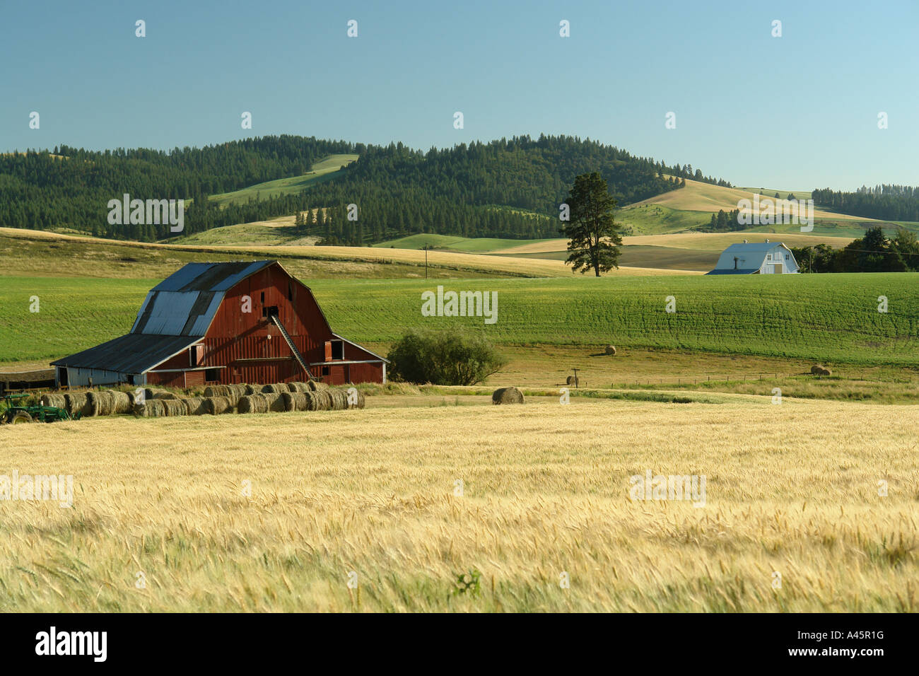 AJD56235, Moscow, ID, Idaho, The Palouse, rolling hills, farmland ...