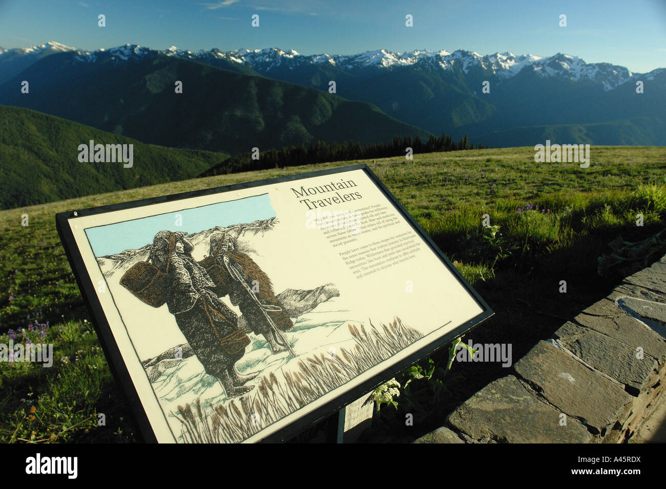 AJD55394, WA, Washington, Olympic Peninsula, Olympic National Park ...