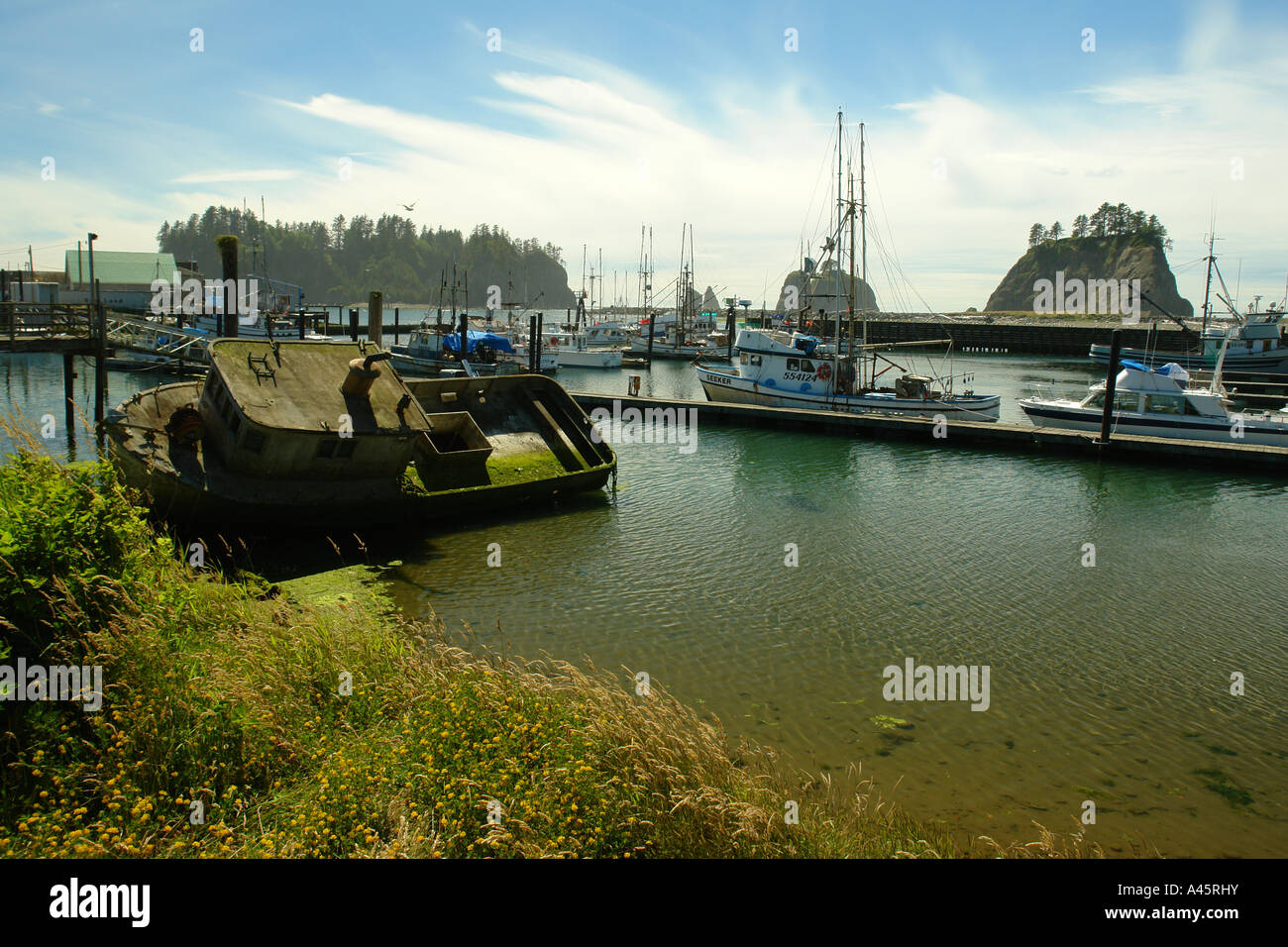 AJD55431, La Push, WA, Washington, Pacific Ocean, Olympic Peninsula ...