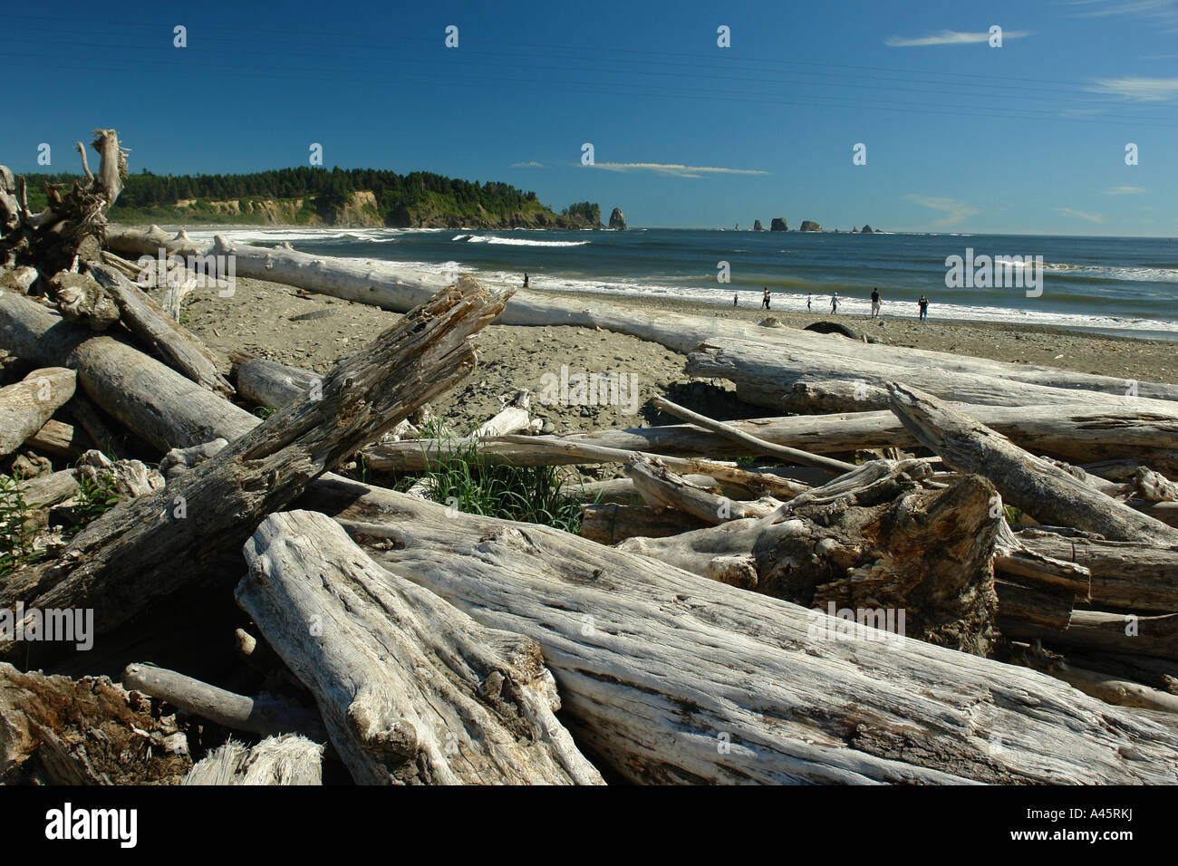 AJD55443, La Push, WA, Washington, Pacific Ocean, Olympic Peninsula ...