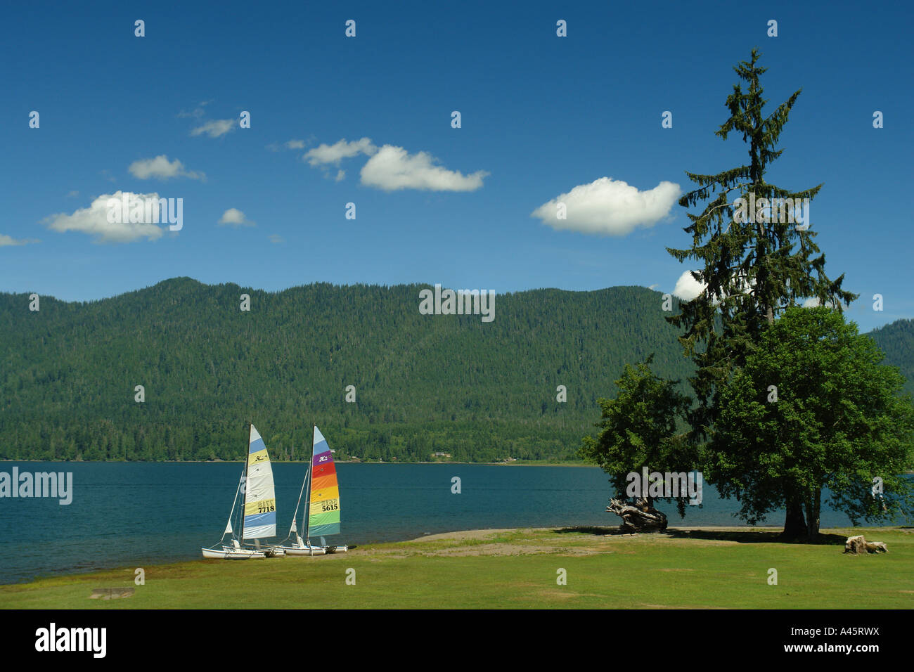 AJD55501, Olympic National Park, WA, Washington, Pacific Ocean, Olympic ...