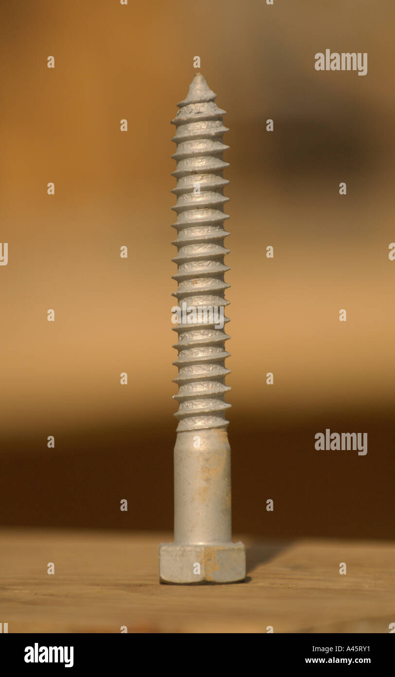 A single galvanized bolt Stock Photo - Alamy