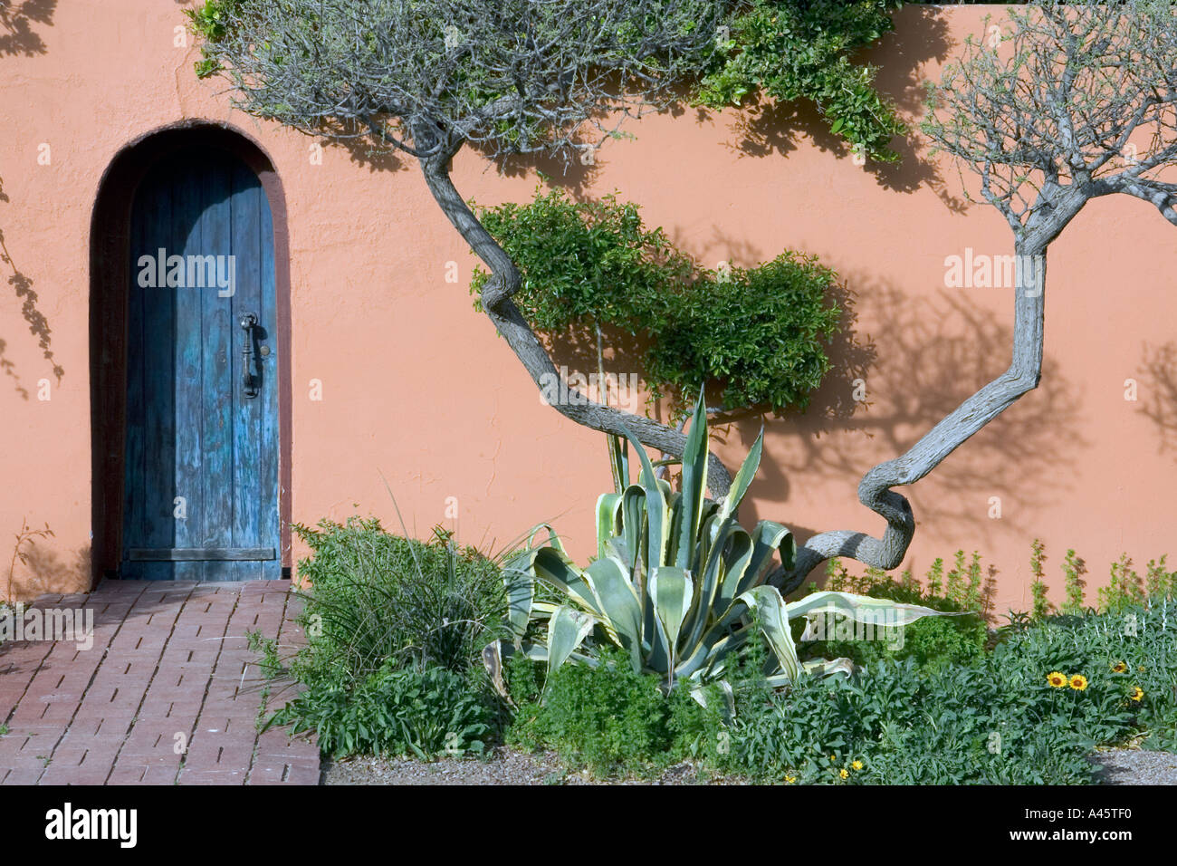 Plants and trees adorn the entrance of a house in Mesilla New Mexico a ...