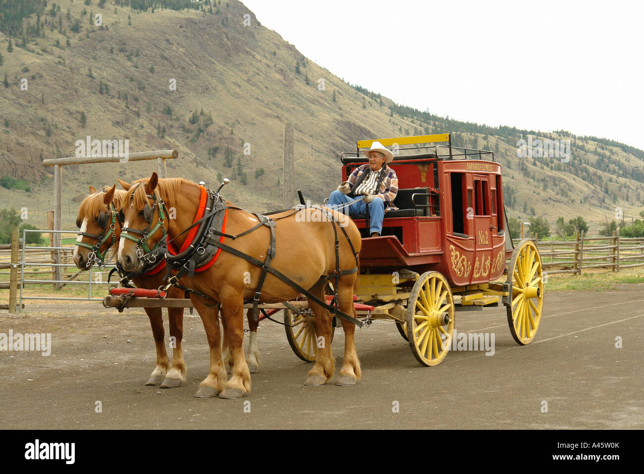 Caribou ranch hi-res stock photography and images - Alamy