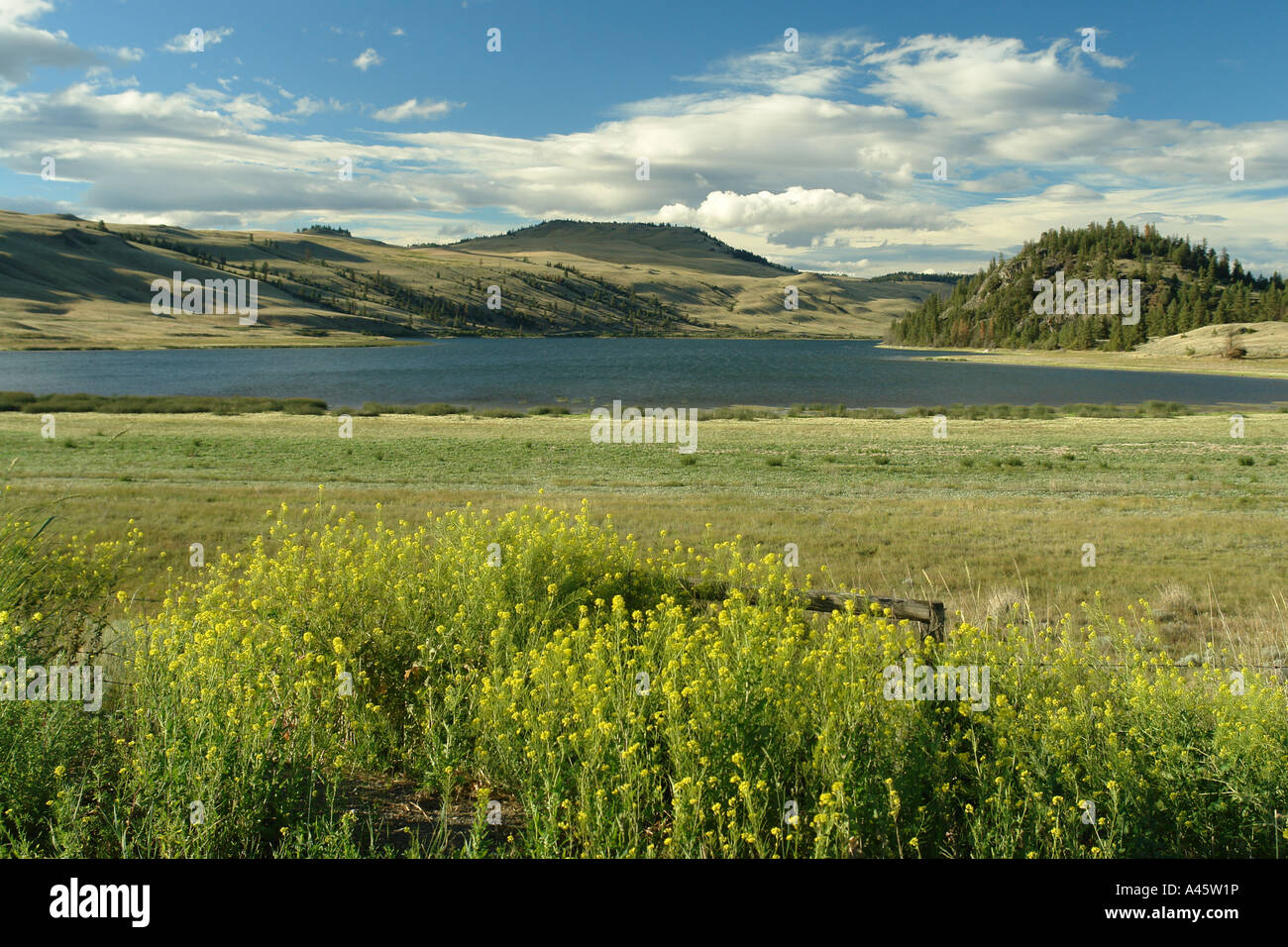 AJD55781, British Columbia, Canada, Nicola River Valley, Nicola Lake ...