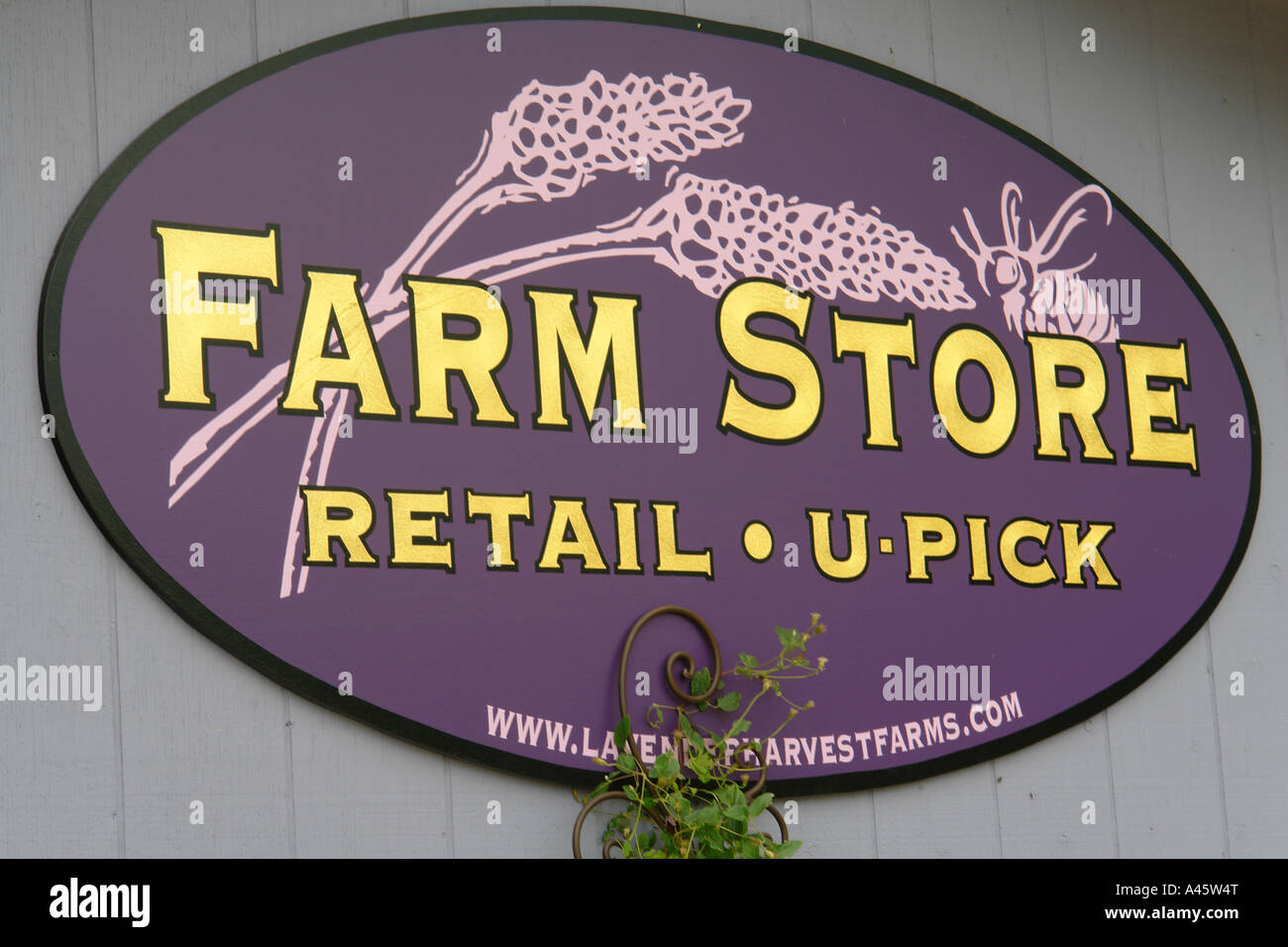 Town of oliver bc hi-res stock photography and images - Alamy