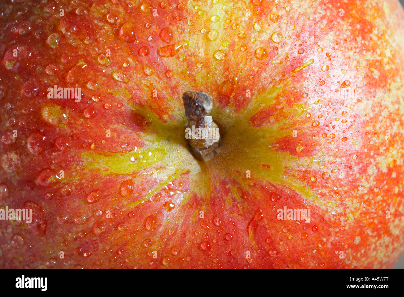 Red Apple Orchard High Resolution Stock Photography and Images - Alamy