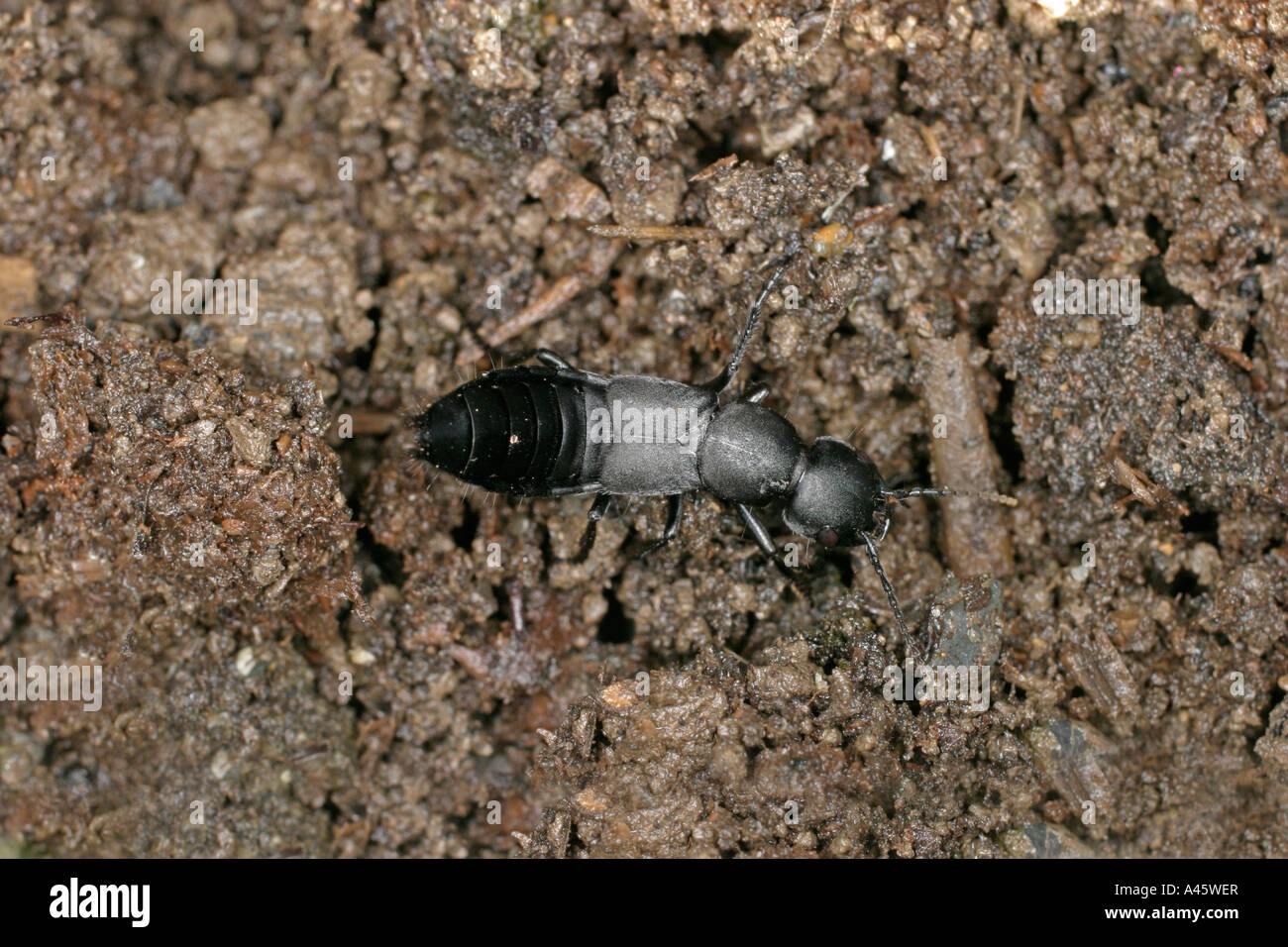 Threat view hi-res stock photography and images - Alamy