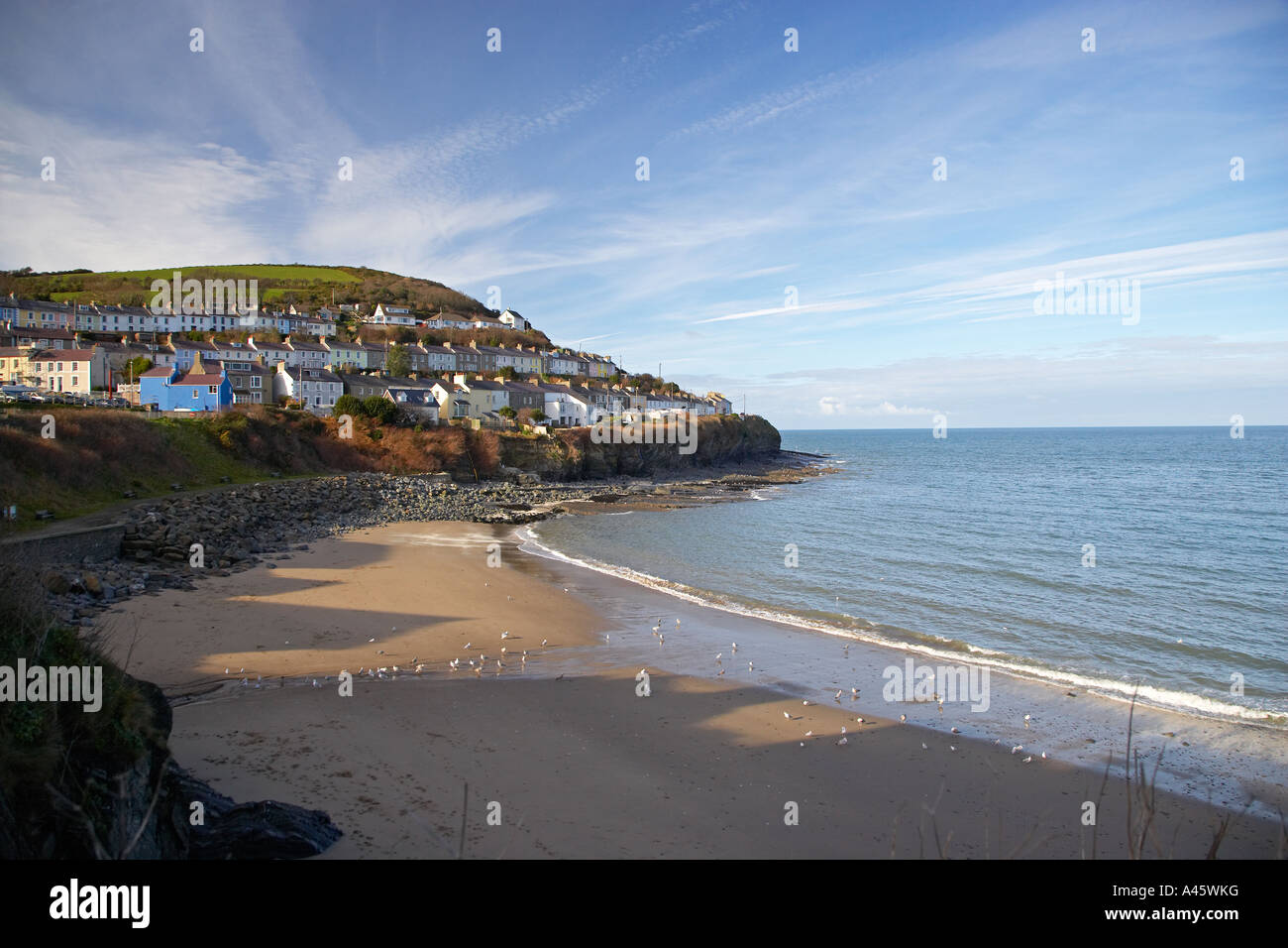 New Quay West Wales UK Stock Photo - Alamy