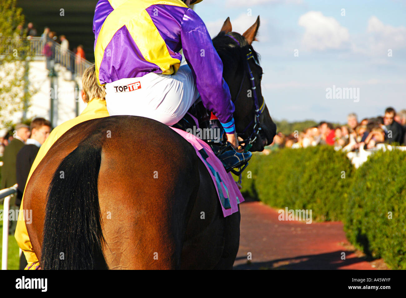 Racing rider hi-res stock photography and images - Alamy