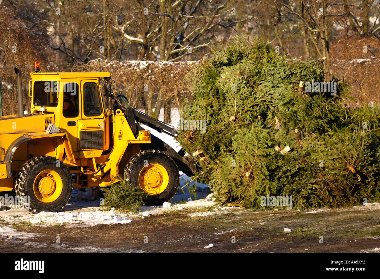 Dispatches hi-res stock photography and images - Alamy