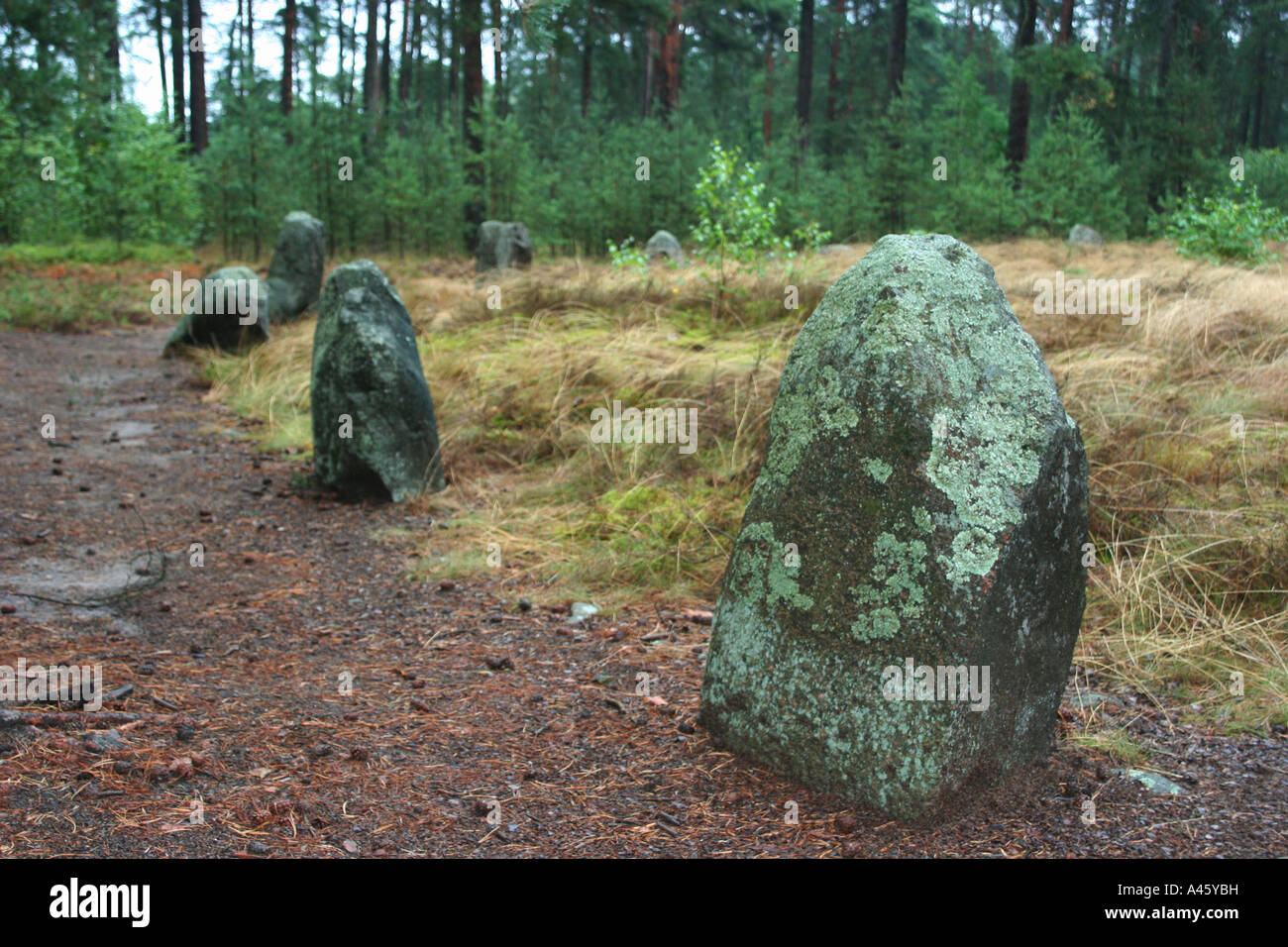 Stone henges in Odry - a necropolis with stone rings located in The ...