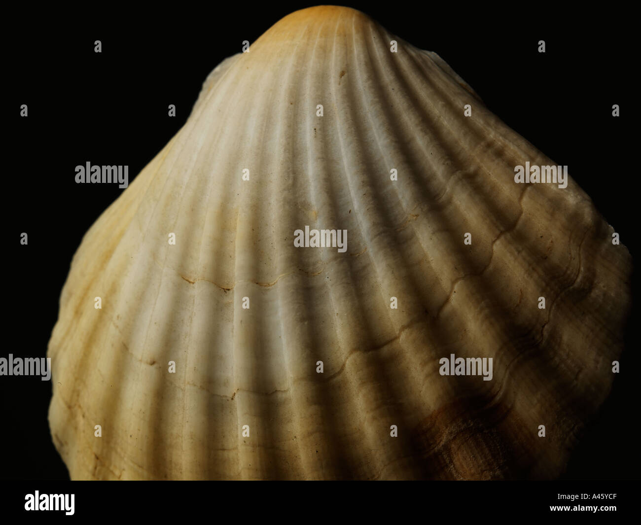 Industrialfoto hi-res stock photography and images - Alamy