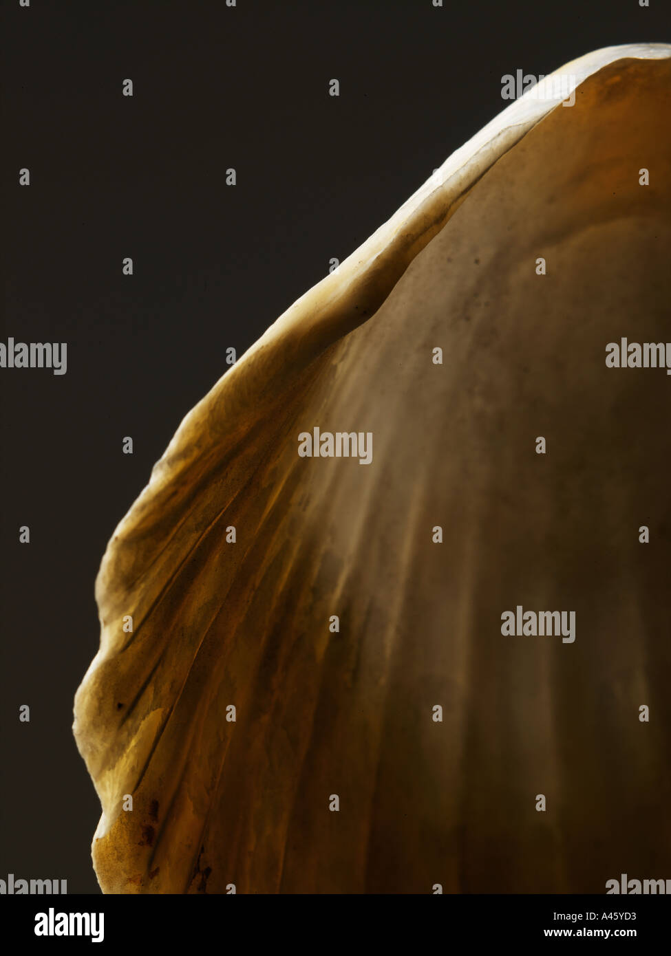 Industrialfoto hi-res stock photography and images - Alamy