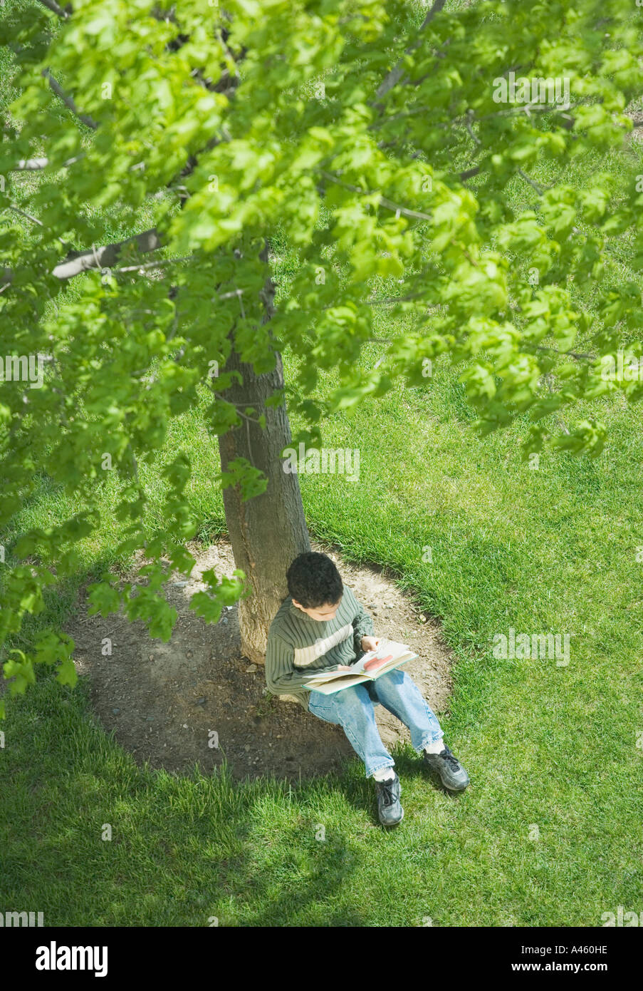 Boy reading under tree hi-res stock photography and images - Alamy