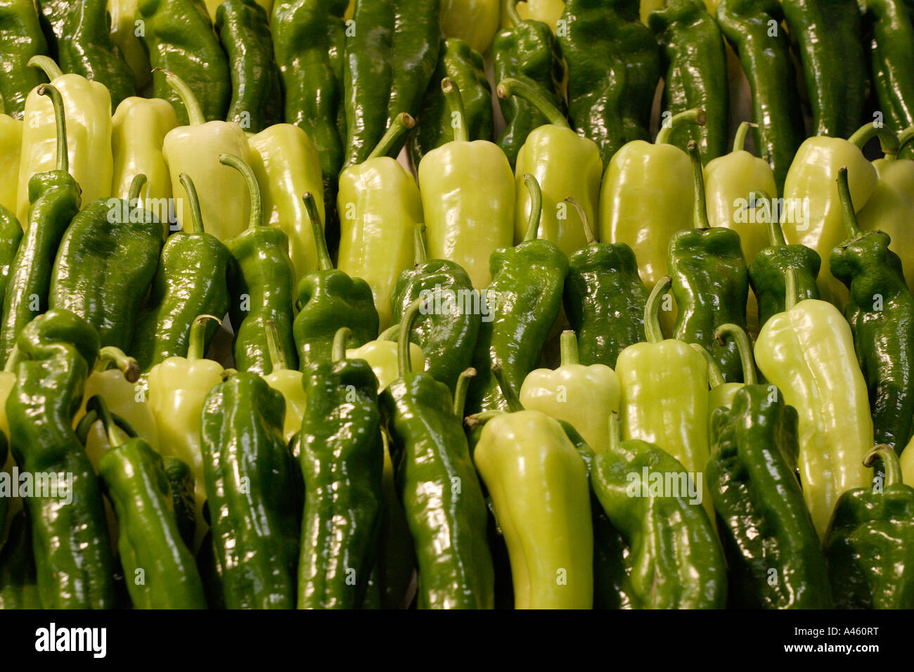 Green chilli peppers Stock Photo - Alamy