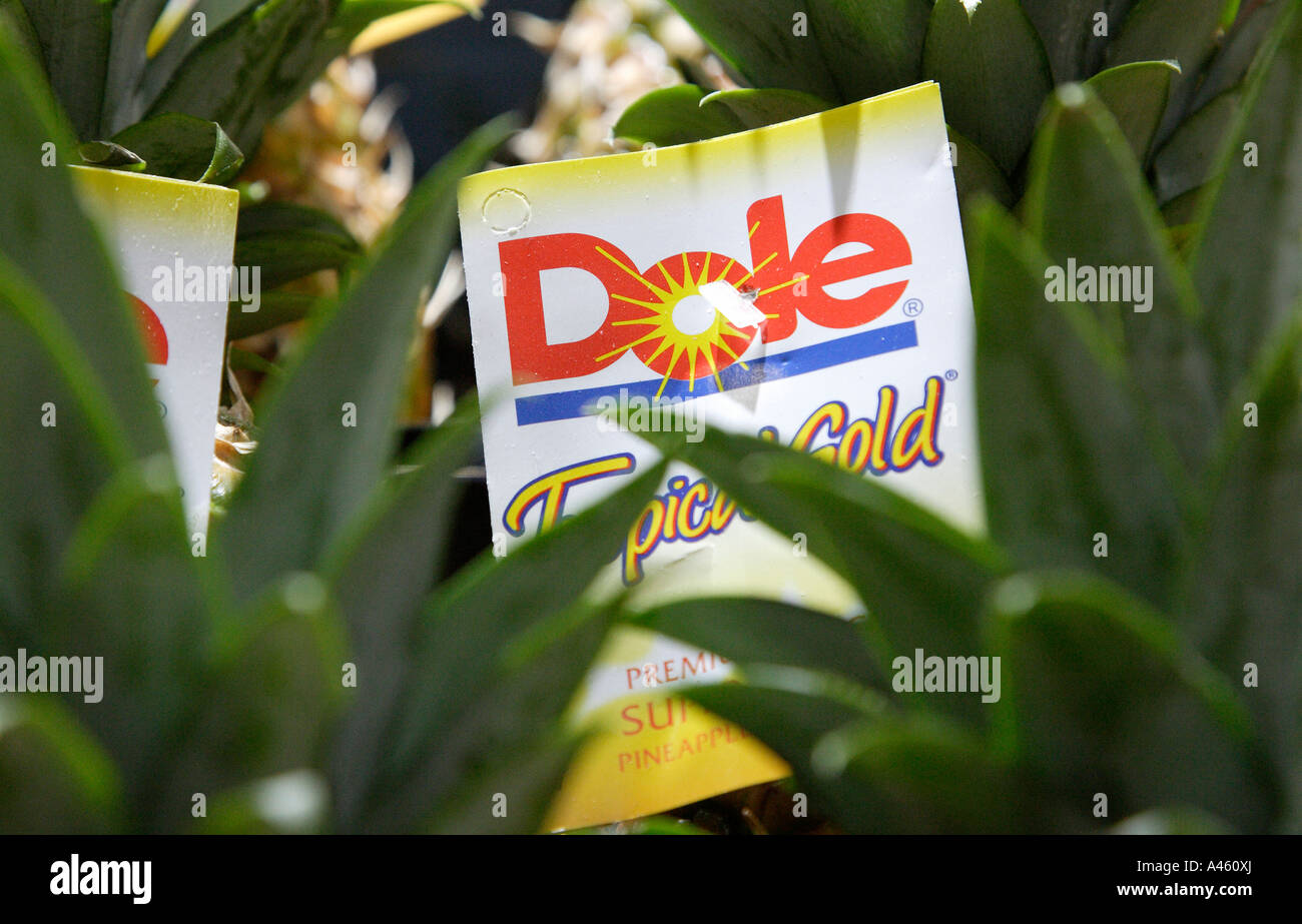 Dole logo hi-res stock photography and images - Alamy