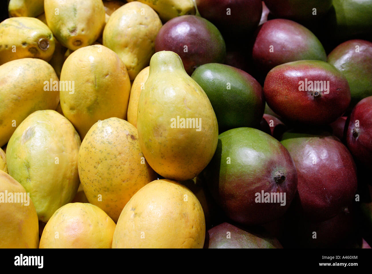 Papayas and mangos Stock Photo - Alamy