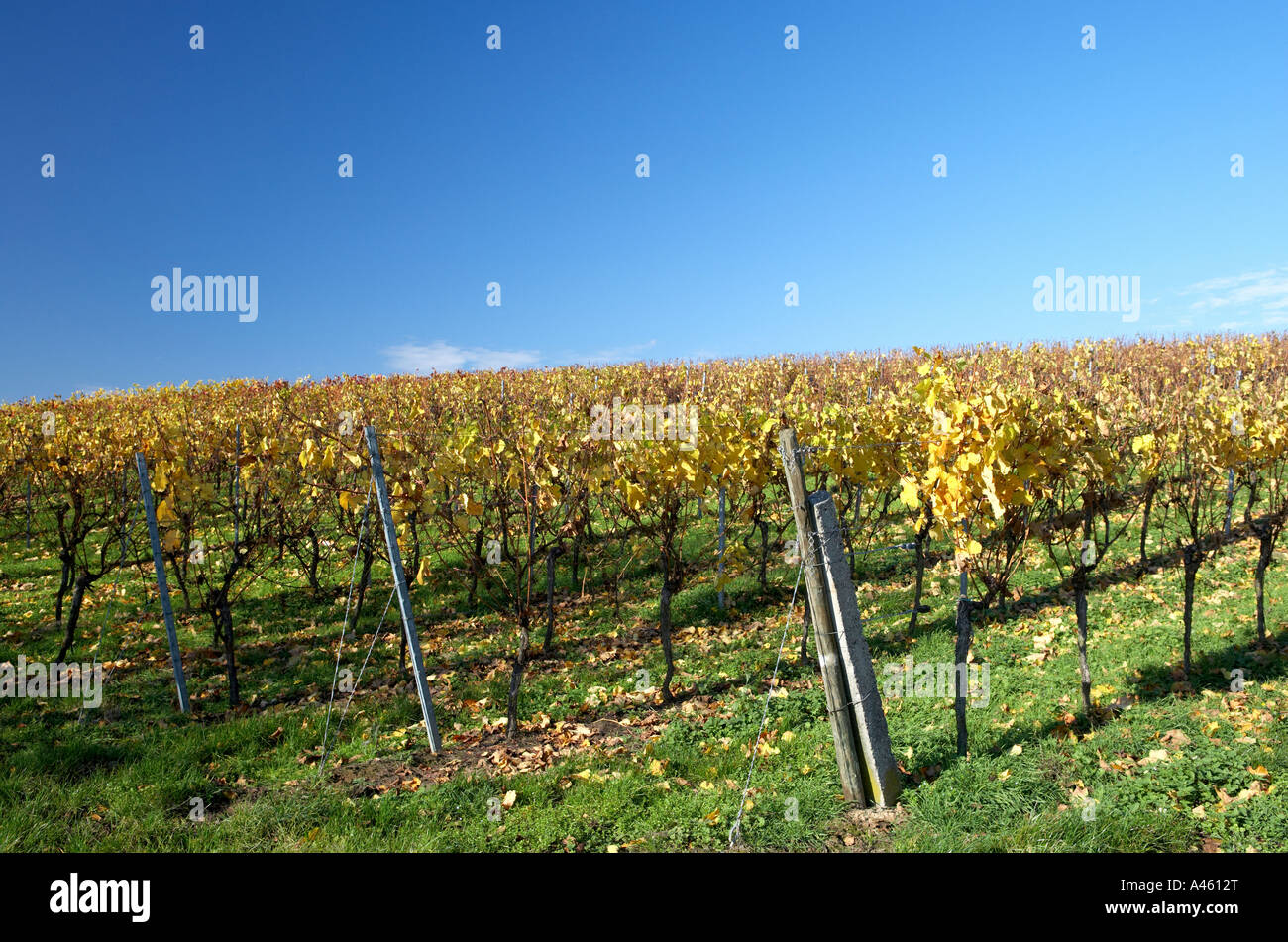 Burbach hi-res stock photography and images - Alamy