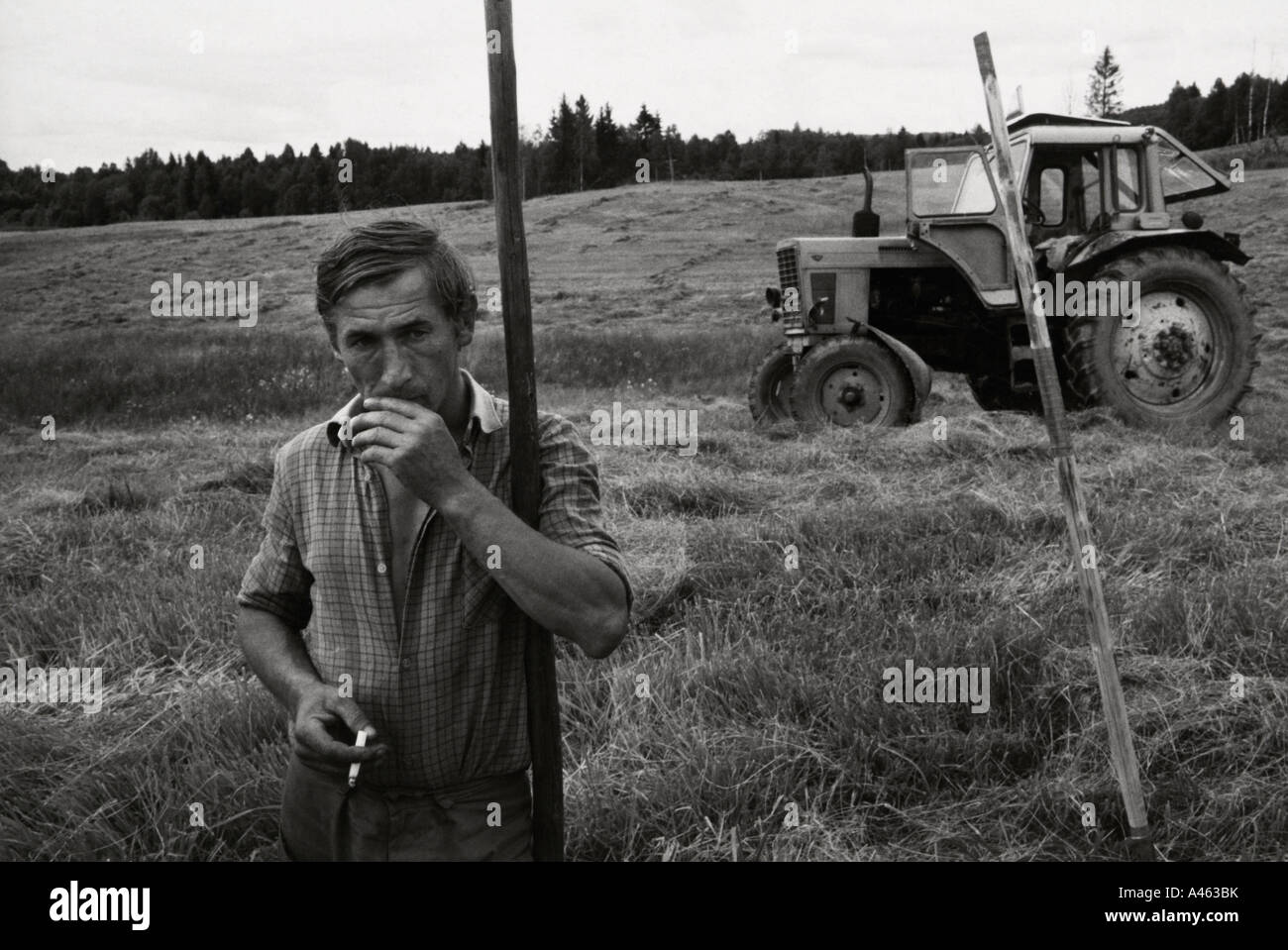 Russian farm hi-res stock photography and images - Alamy