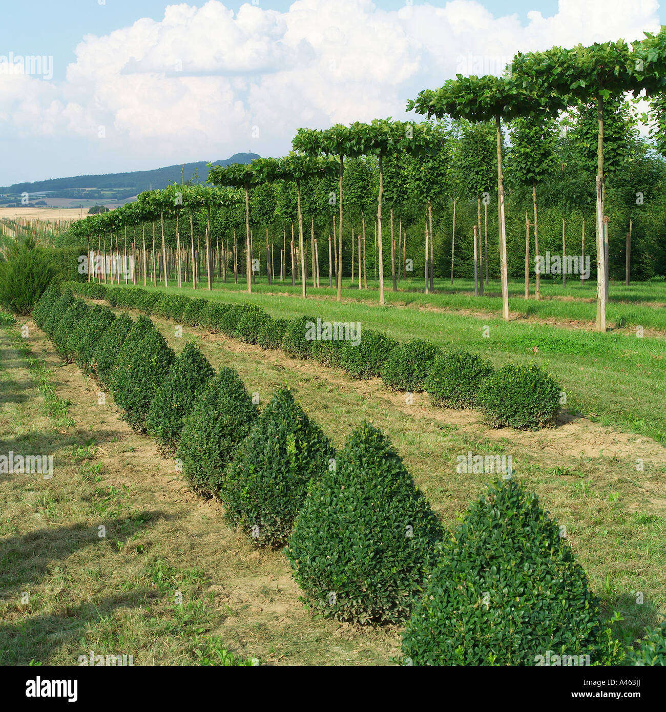 German sentry box hi-res stock photography and images - Alamy