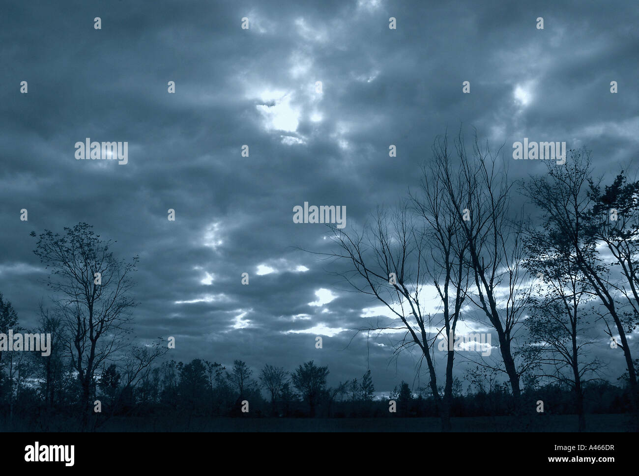 Moody fall sky with silhouetted trees Stock Photo - Alamy