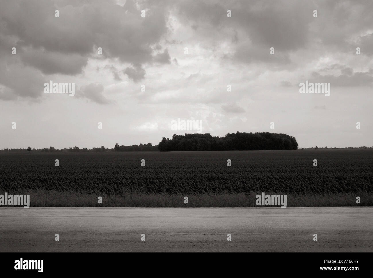 Simple B&W contemporary landscape composition Stock Photo - Alamy