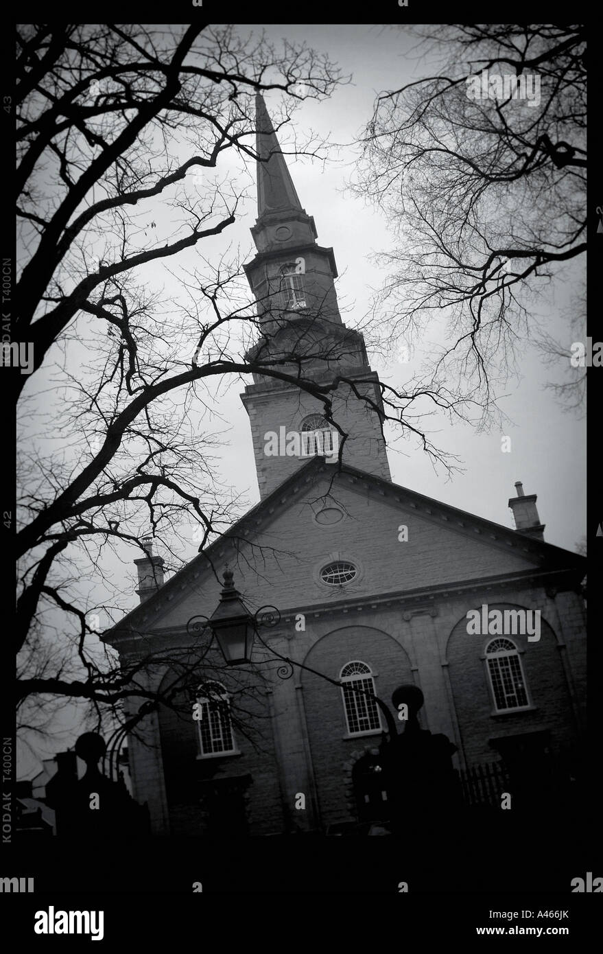 Catholic church behind dark tree branches Stock Photo - Alamy