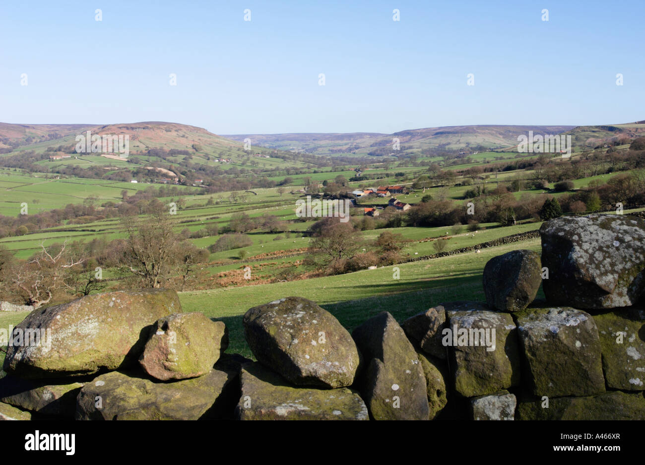 Spring view of Farndale, North Yorkshire moors Stock Photo - Alamy