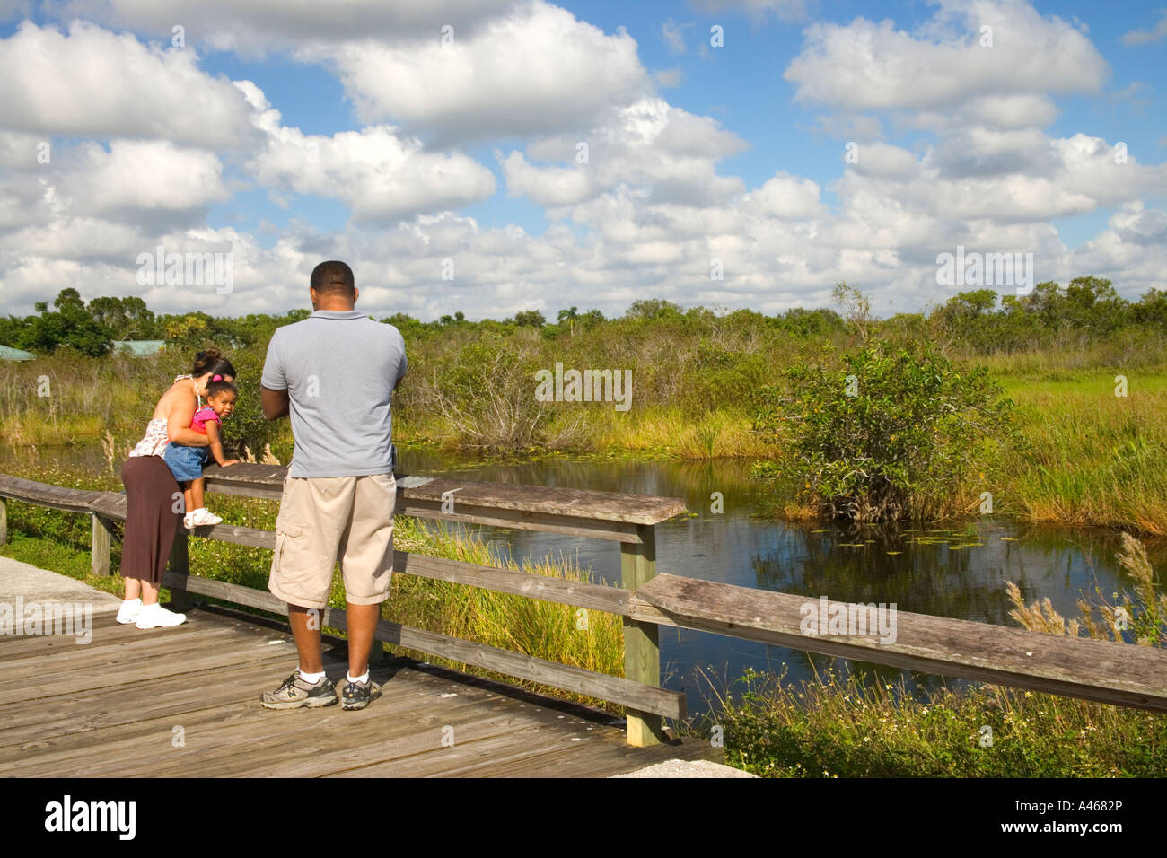 African American father, Caucasian mother, family viewing wildlife ...