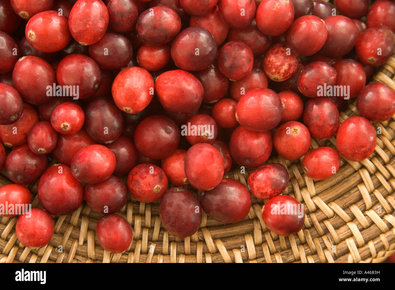 Ripe cranberries in basket Stock Photo - Alamy