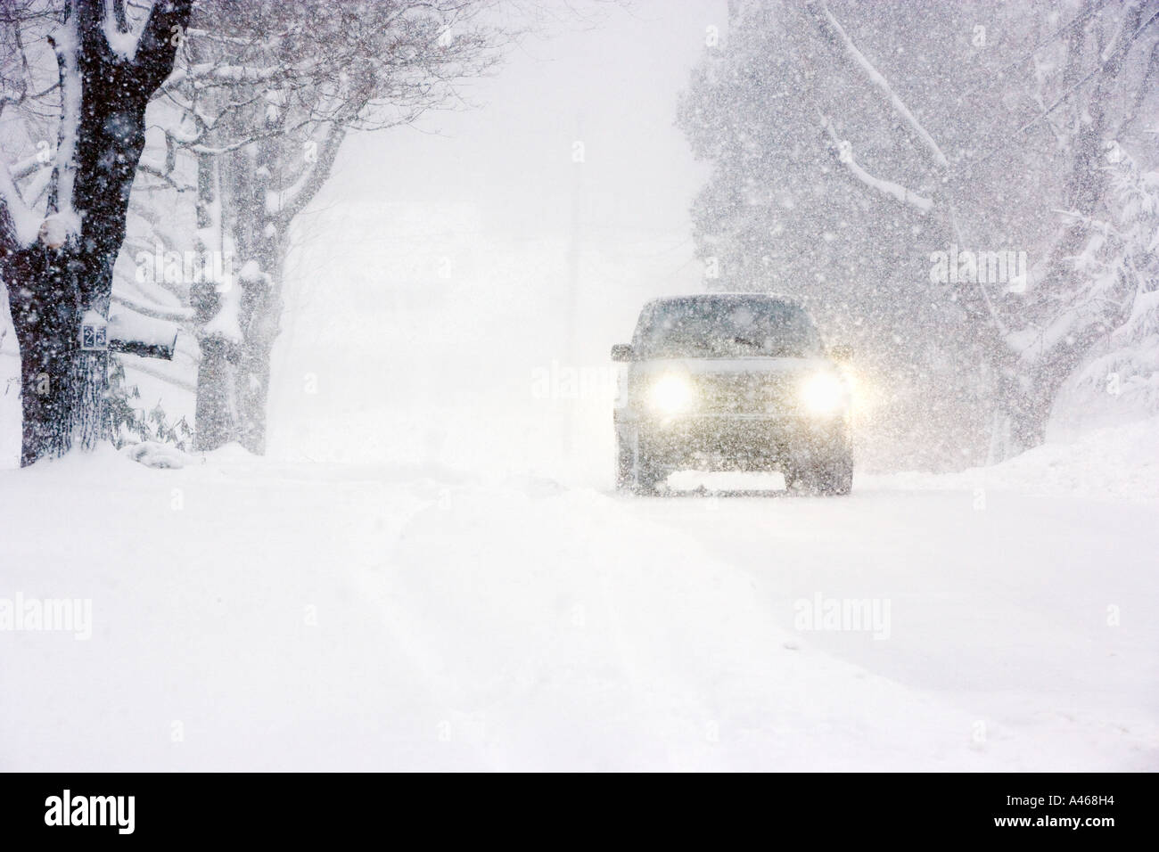 SUV driving through snow storm Stock Photo - Alamy