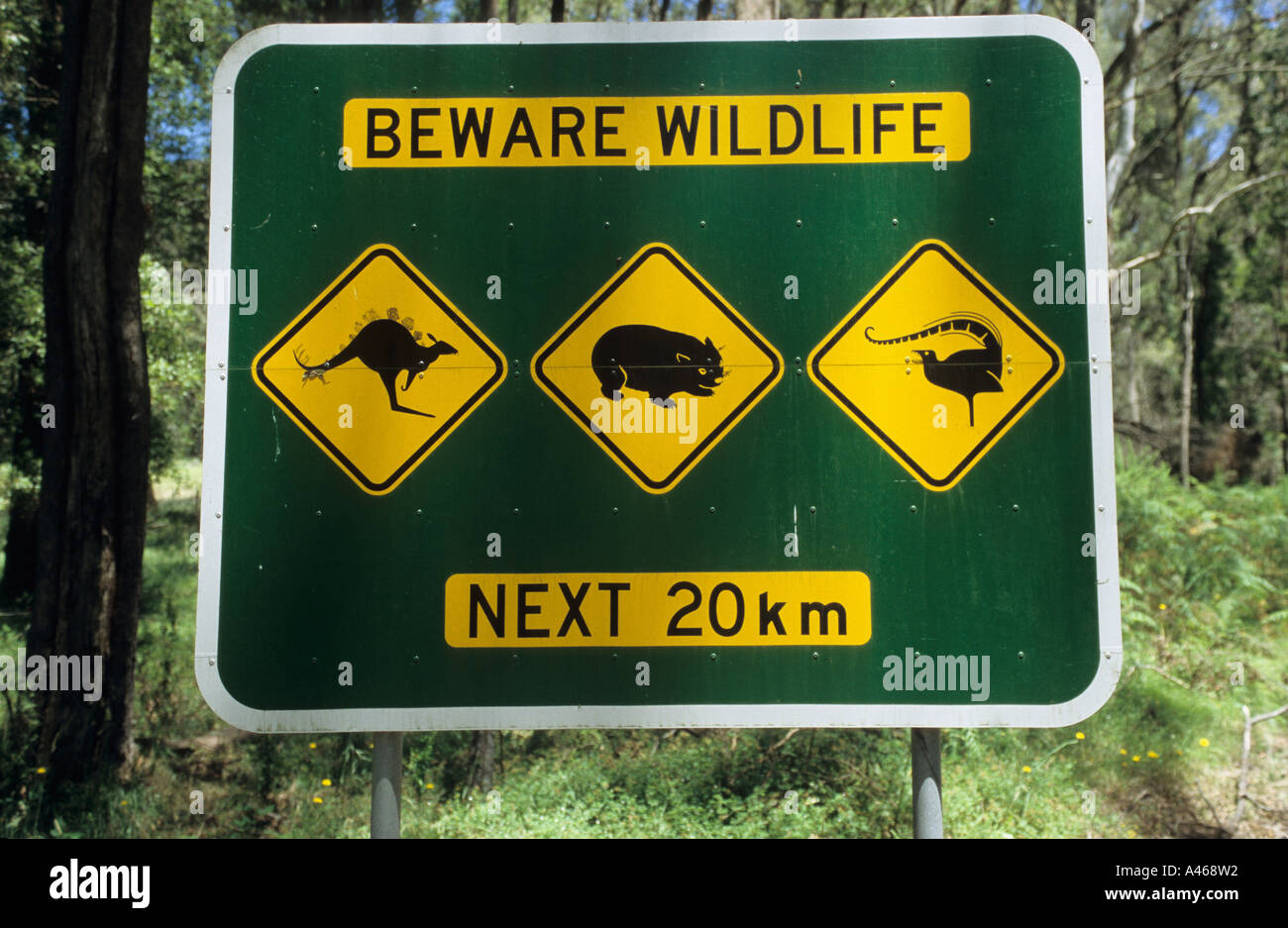 Warning sign for wildlife, Mount Buffalo Nationalpark, Victoria, AUS ...