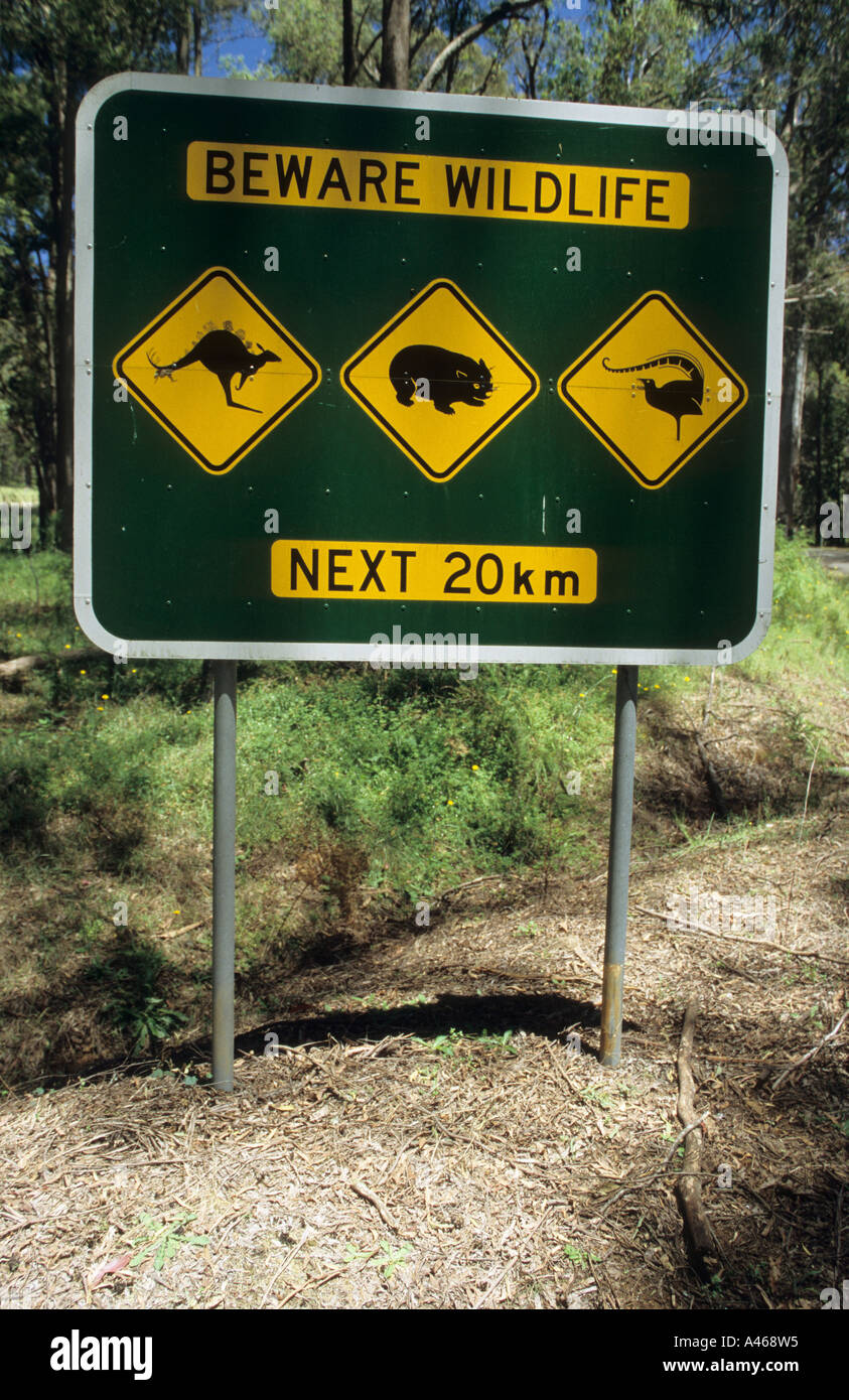 Warning sign for wildlife, Mount Buffalo Nationalpark, Victoria, AUS ...