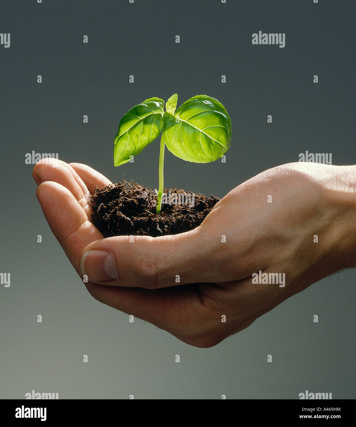 Hand of coexistence hi-res stock photography and images - Alamy