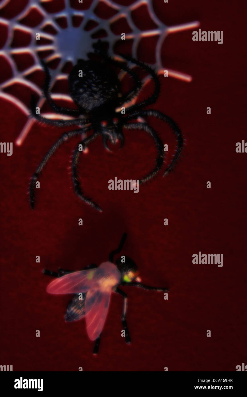 Concept capture hi-res stock photography and images - Alamy